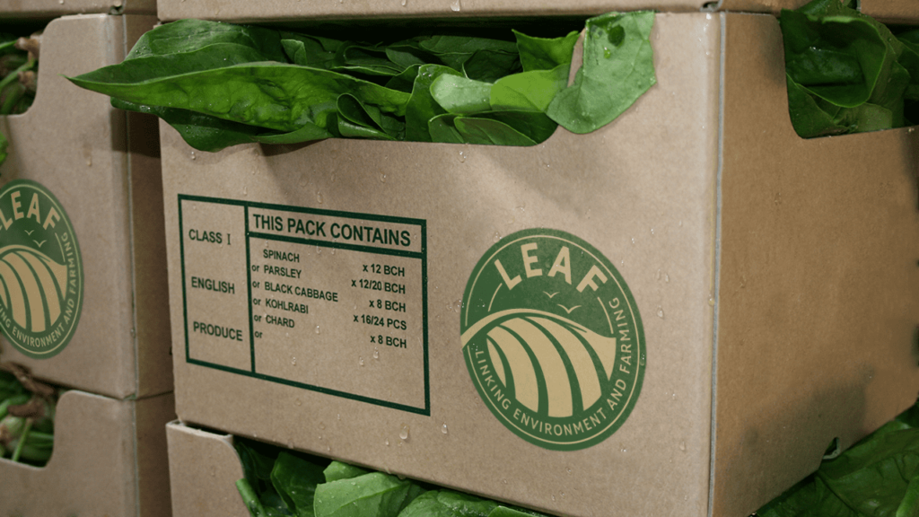 Fabricación de Alimentos y Bebidas – La plataforma avanzada de IA para ...